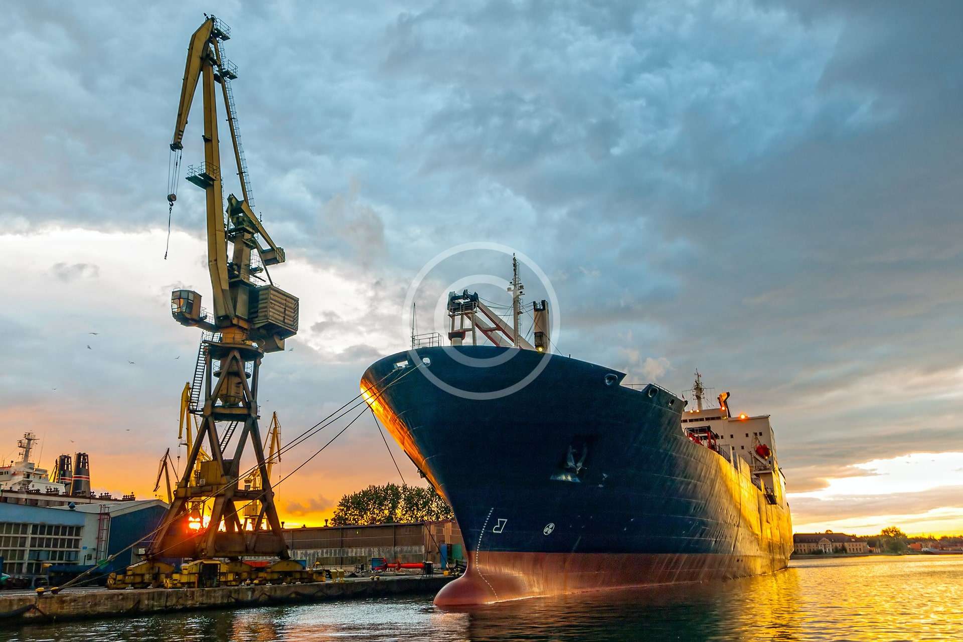 The digitalisation is transforming the entire transport industry ...